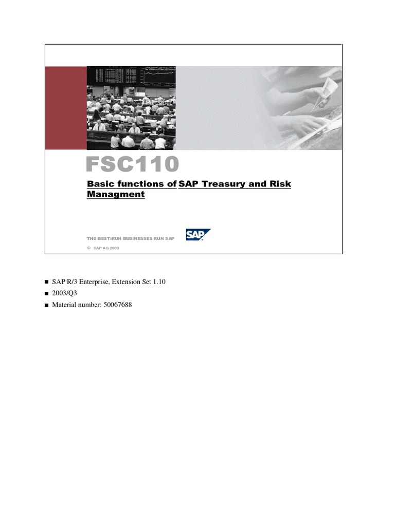 SAP Treasury - Risk Management | PDF | Financial Markets | Ibm Db2