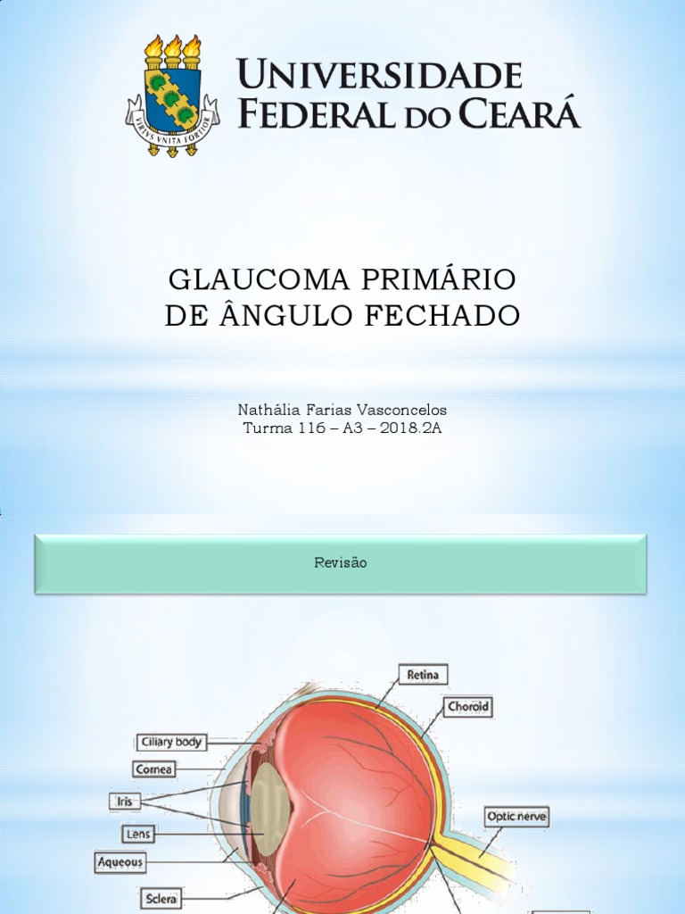 Glaucoma Primário de Ângulo Fechado | Glaucoma | Sentidos