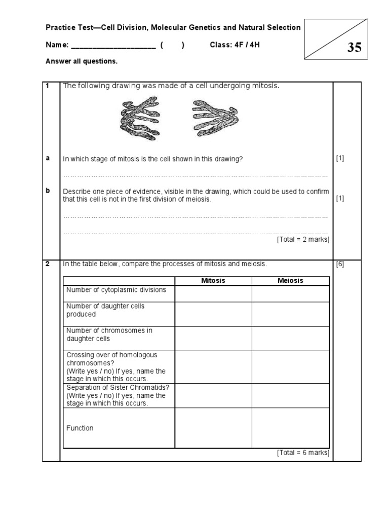 Practice Test (Final) | PDF | Meiosis | Mitosis