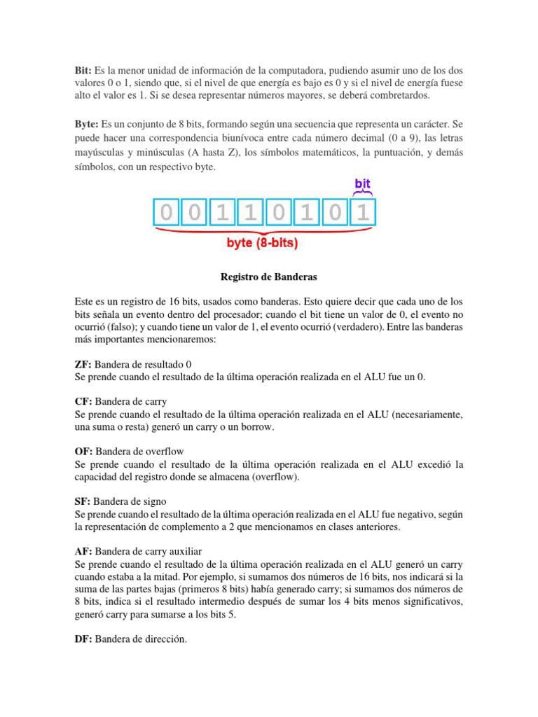 Concepto Bit, Byte | PDF | Programa de computadora | Programación
