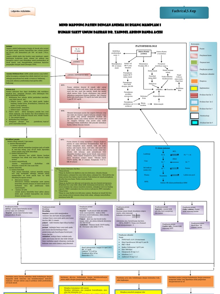 Mind Mapping Anemia | PDF