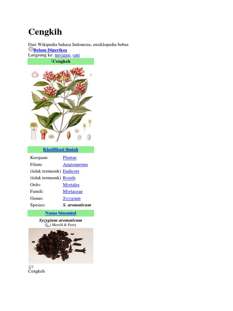 Cengkih | PDF