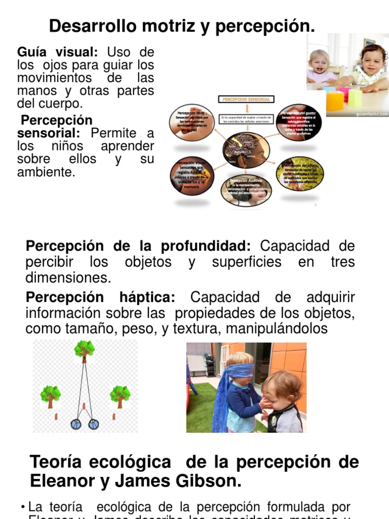 Desarrollo Motriz y Percepción | PDF