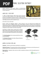 Peppered Moth Simulation | PDF | Evolutionary Biology | Biological ...