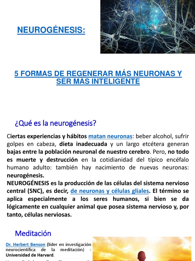 NEUROGÉNESIS 5 Formas de Regenerar Neuronas | PDF | Neurogénesis | Cerebro