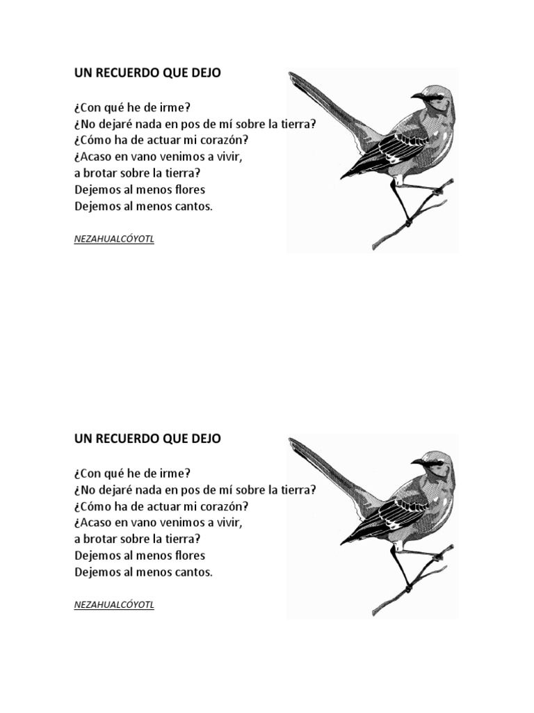 Poema Un Recuerdo Que Dejo | PDF