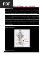 Thorax PA, AP Dan Lateral, RLD Dan LLD | PDF