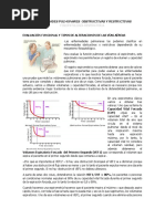 Deterioro Rostrocaudal: Etiología | PDF | Medicina | Sistema nervioso