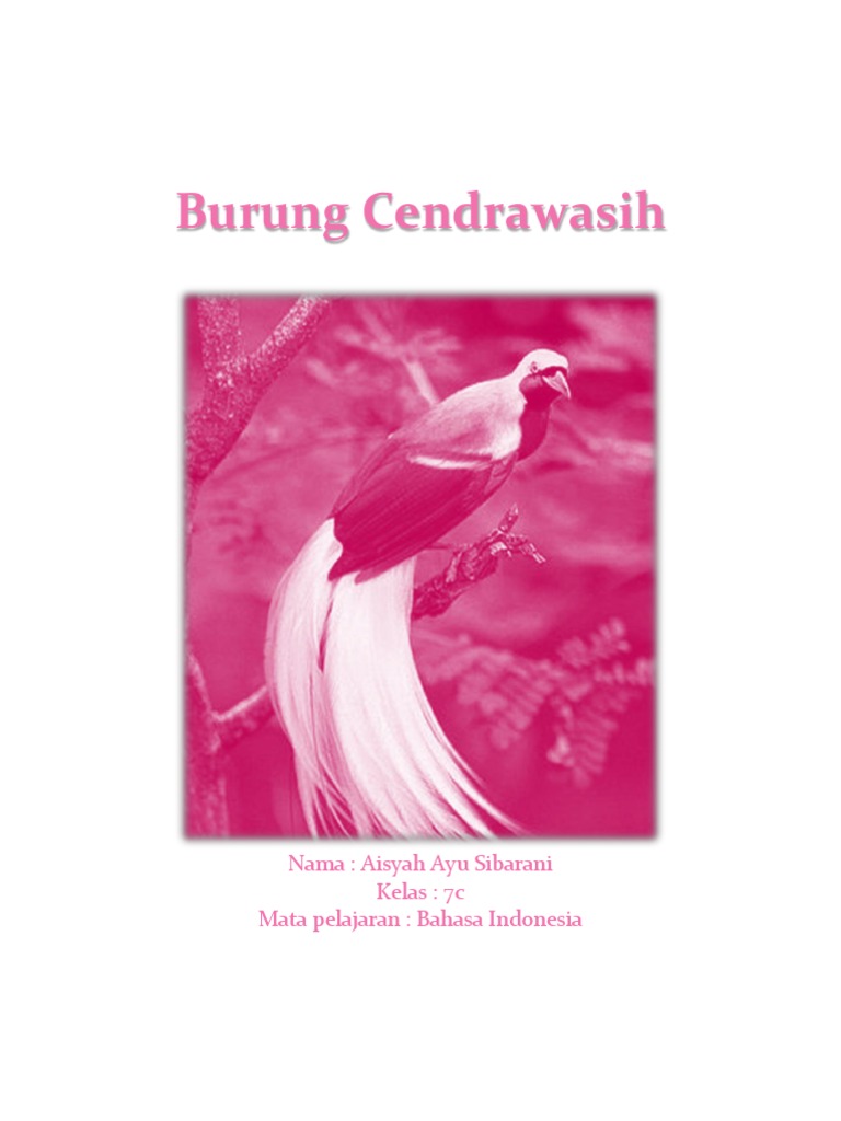 Burung Cendrawasih | PDF