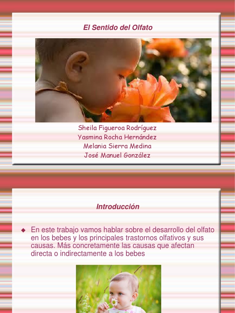 Presentacion Olfato Bebes | PDF | Especialidades Medicas | Enfermedades ...