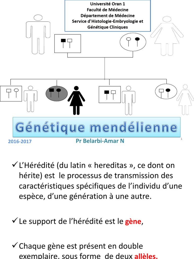 génétique-mendelienne.ppt | Hérédité | Allèle