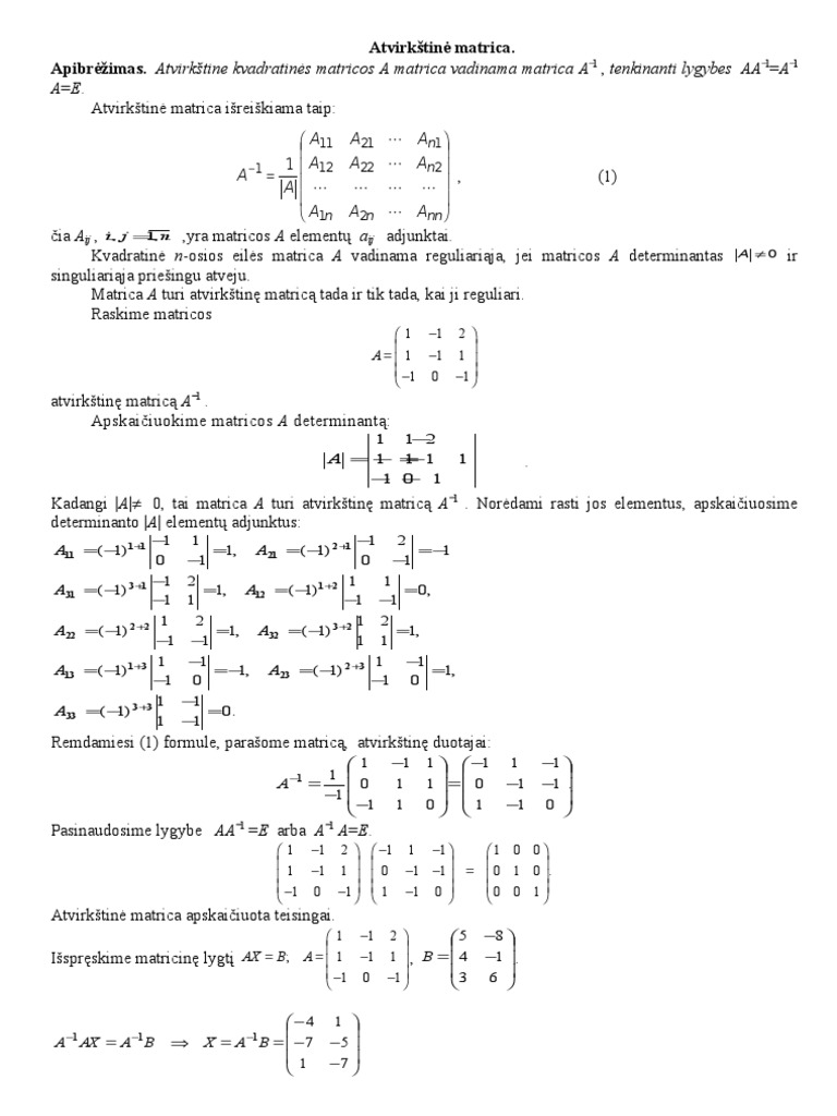 Atvirkstine Matrica-1 | PDF