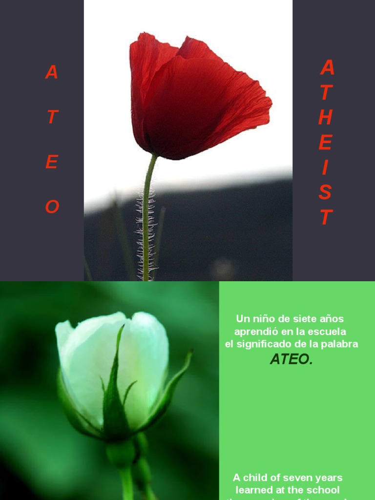 Ateo - Atheist | PDF