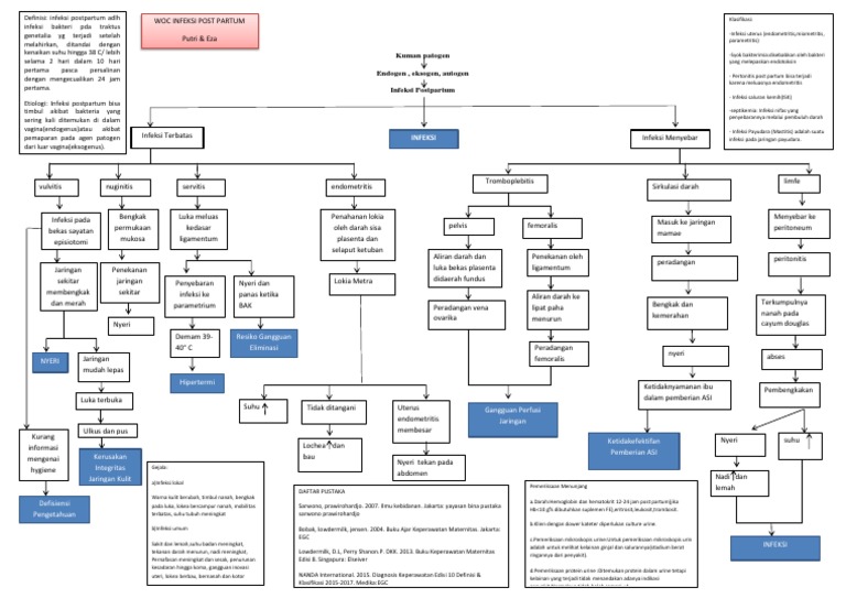 WOC Infeksi Postpartum Kel 15 | PDF