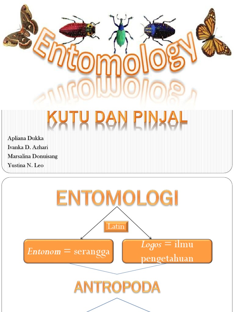 Morfologi dan Siklus Hidup Pinjal | PDF