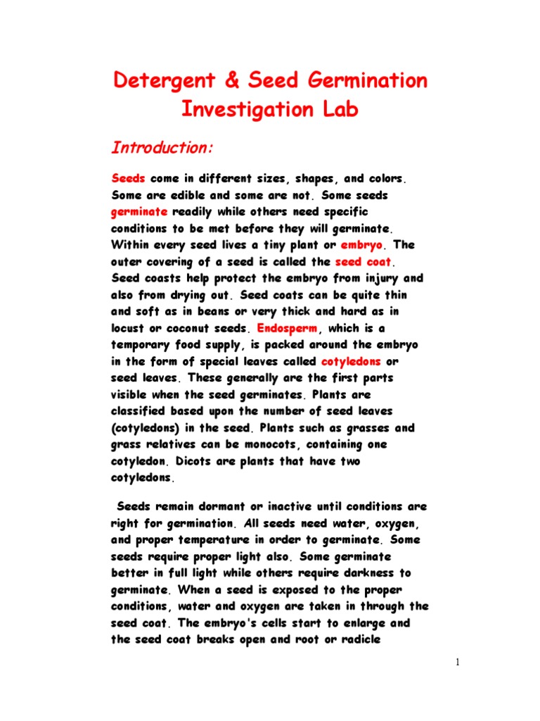 Affect of Detergent On Seed Germination Lab | PDF | Seed | Germination