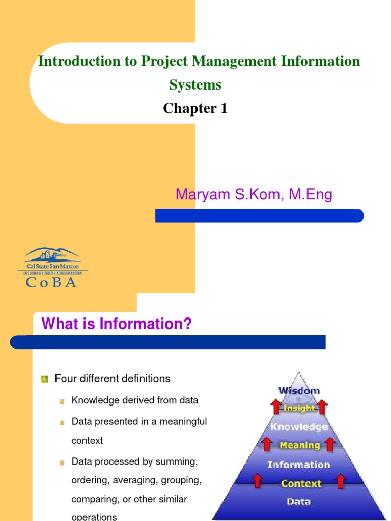 1 Introduction MPSI | PDF | Project Management | Information System
