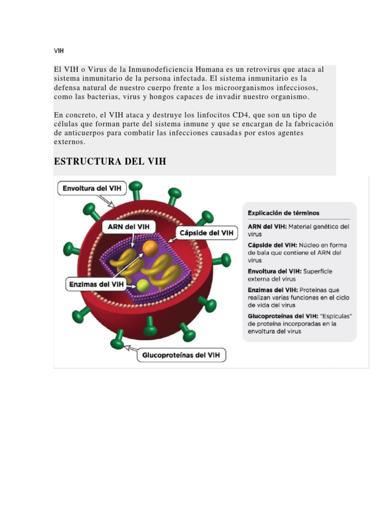 Estructura Del Vih | PDF