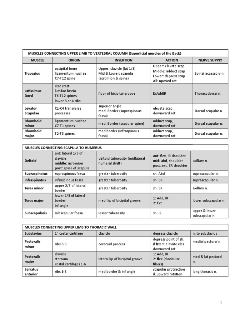 UE Muscles OINA | PDF | Thumb | Finger