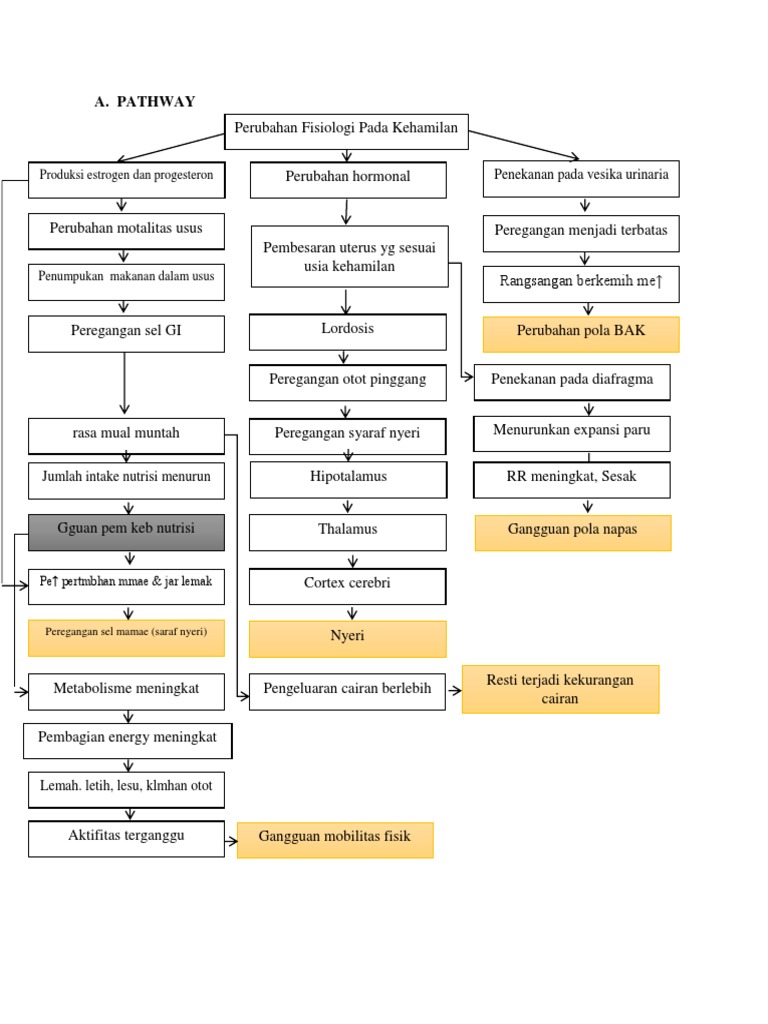 PATHWAY | PDF | Kesehatan Holistik