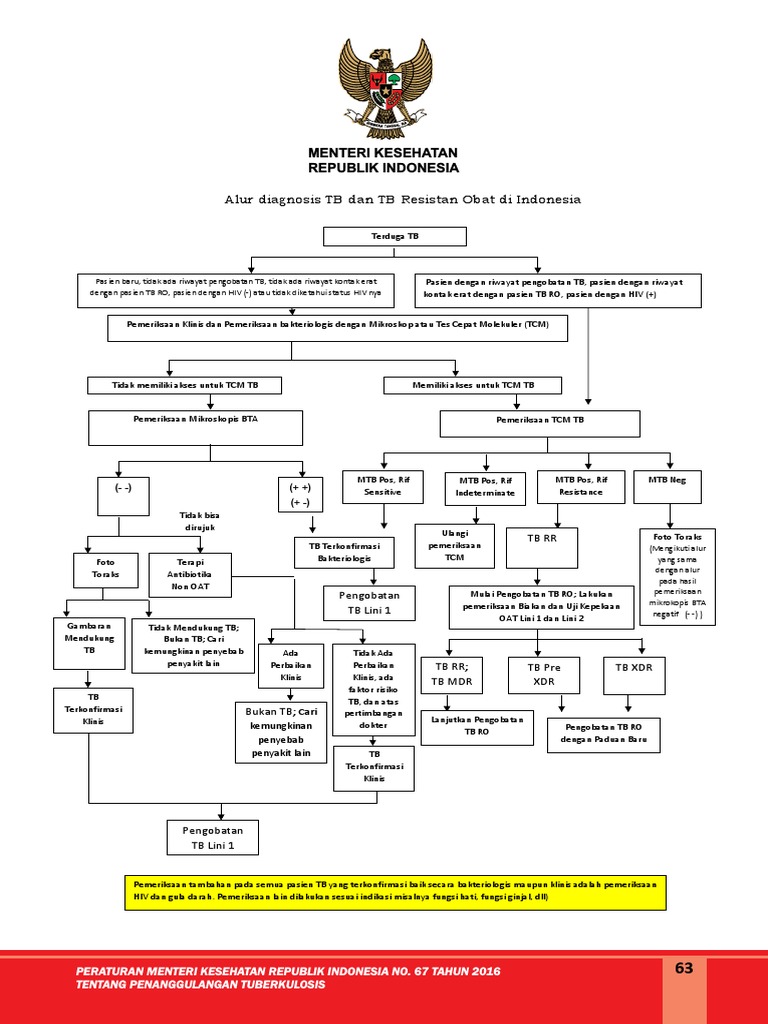 Alur Diagnosis TB | PDF