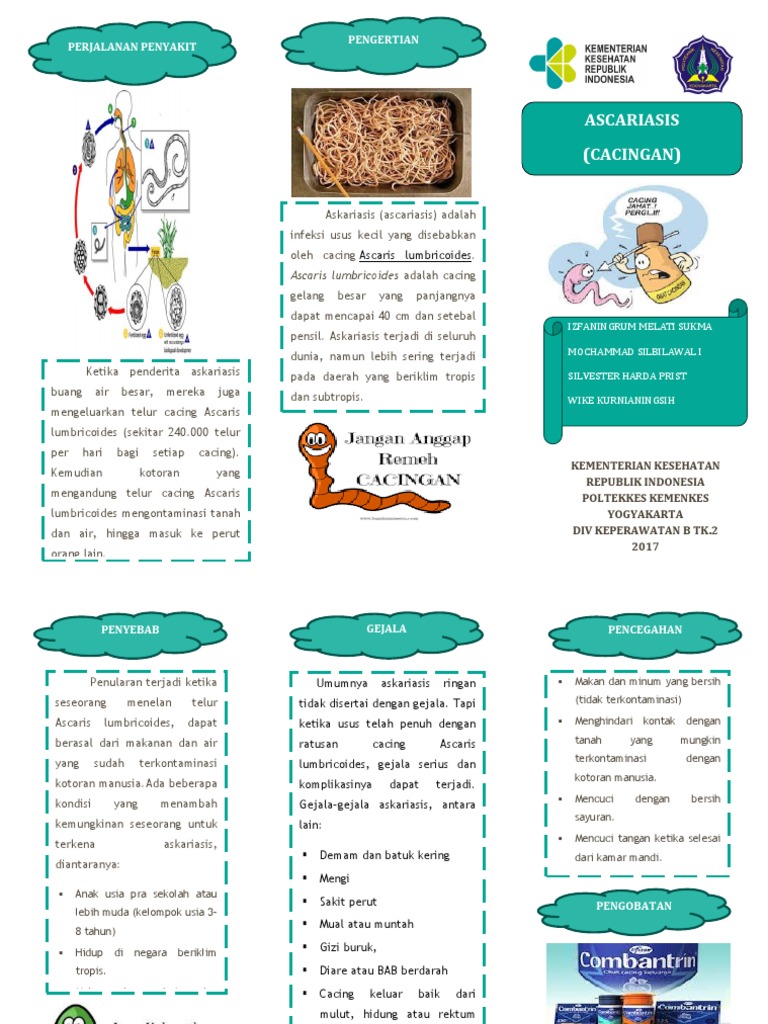 Leaflet Askariasis | PDF