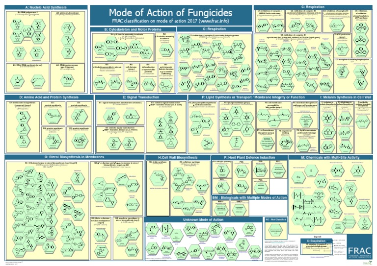 Frac Moa Poster fungicidas | Enzyme Inhibitor | Structural Biology