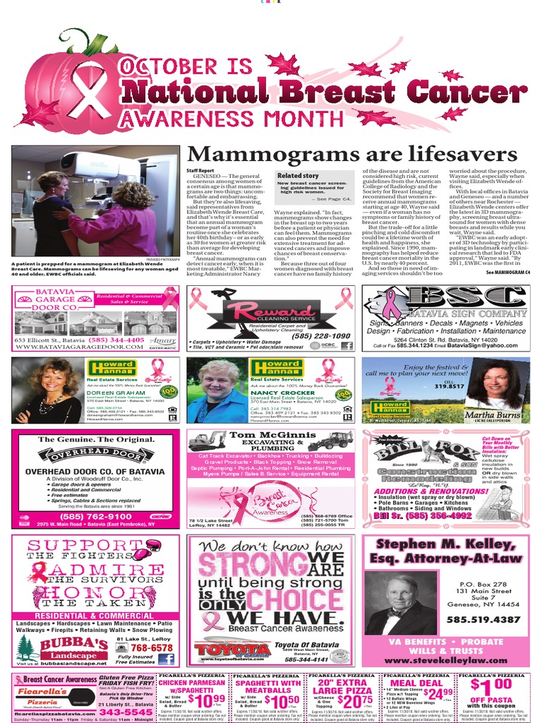 Breast Cancer Awareness | PDF | Mammography | Breast Cancer