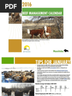 School Operational Work Plan | PDF | Audit | Educational Technology