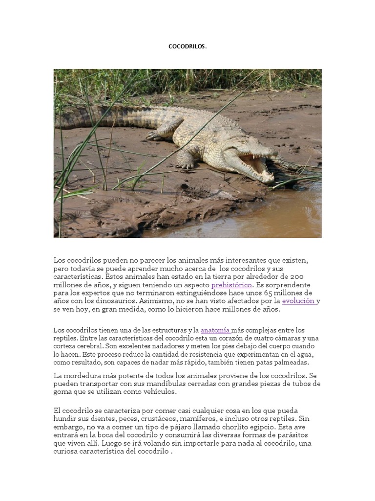 Cocodrilo S | PDF | Reptil | Aves