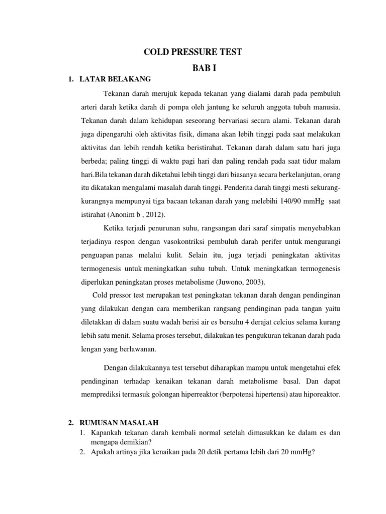 Laporan Cold Pressure Test | PDF