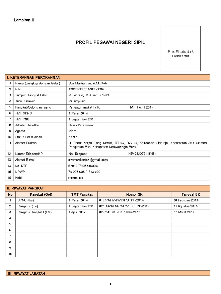 Profil PNS (Lampiran I) | PDF