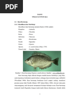 Morfologi Dan Anatomi Kepiting | PDF