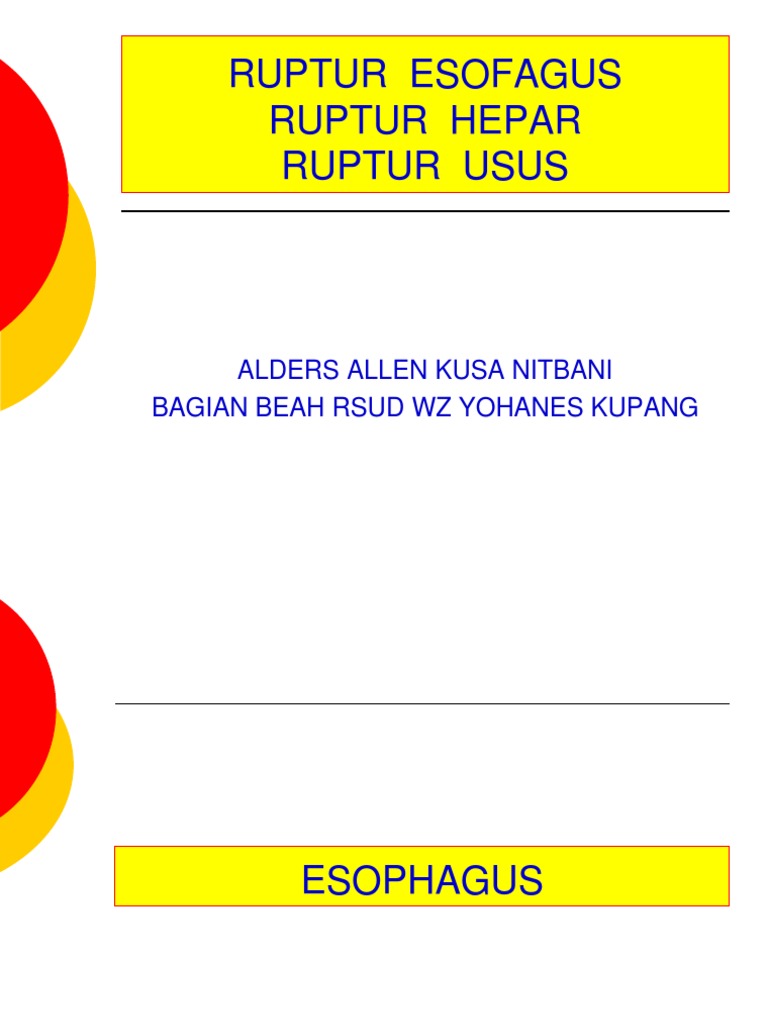 Kuliah Ruptur Esofagus, Hepar, Usus | PDF | Major Trauma | Medical ...