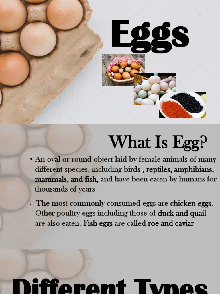Egg Presentation | PDF | Yolk | Egg As Food