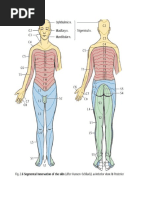 Gans Sensory Organization Performance (SOP) Test | PDF | Vertigo ...