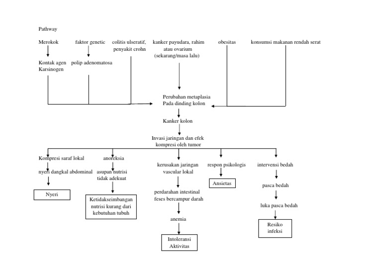 Pathway Tumor Kolon | PDF