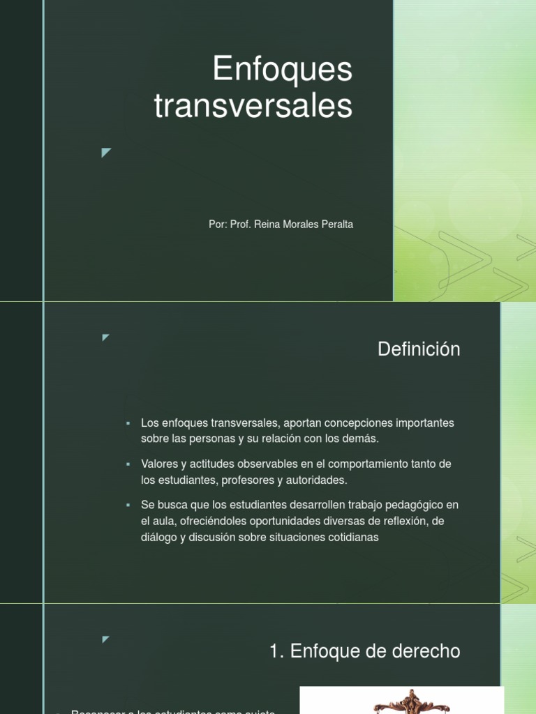 Enfoques Transversales | PDF | Interculturalidad | Aprendizaje