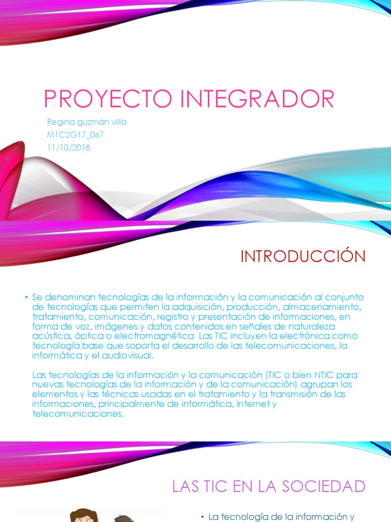Proyecto Integradorr | PDF | Tecnología de información y comunicaciones | Internet