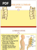 Anatomi Dan Fisiologi Vertebrae Cervical | PDF