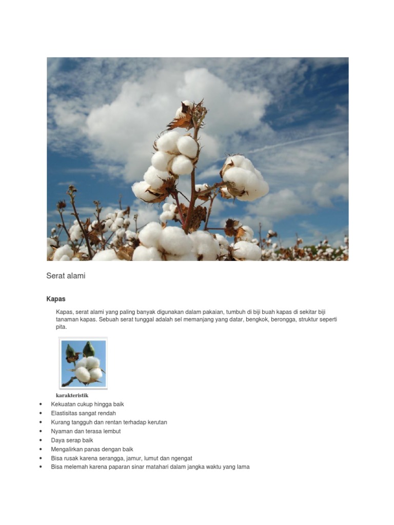 Serat Alami Materi | PDF