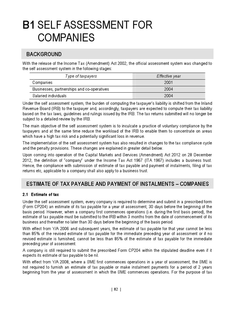B1 SELF ASSESSMENT GUIDE FOR COMPANIES | PDF | Taxpayer | Tax Return ...