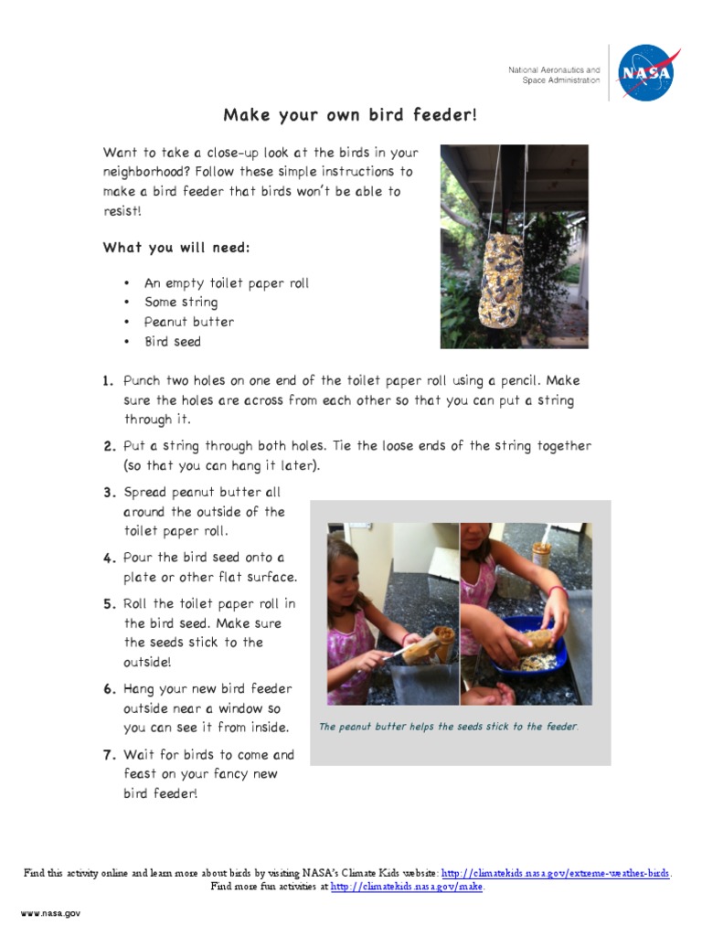 Bird Feeder | PDF