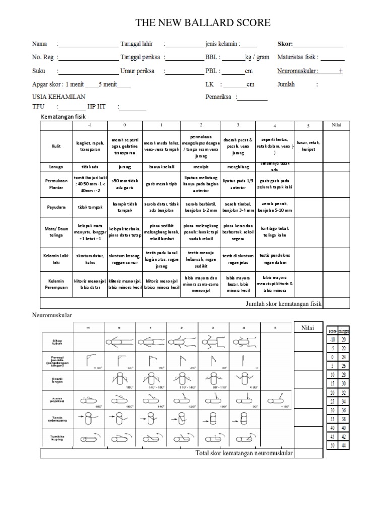 Form Ballard Score | PDF