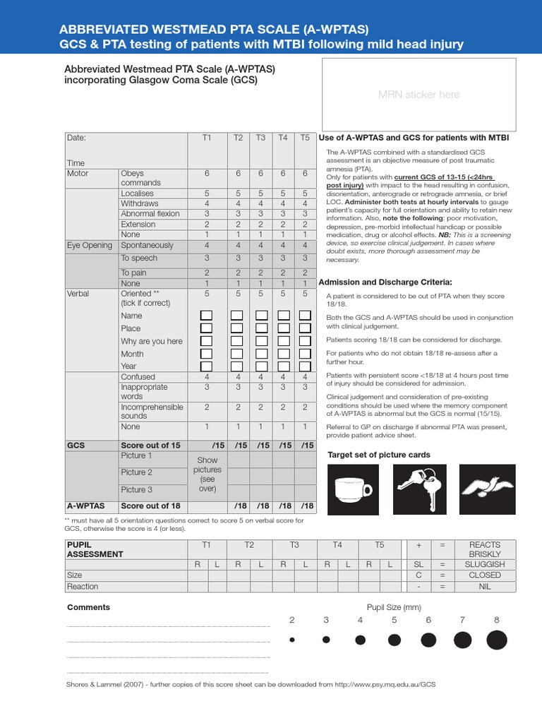 Assessing Mild Traumatic Brain Injury: Using the Abbreviated Westmead ...
