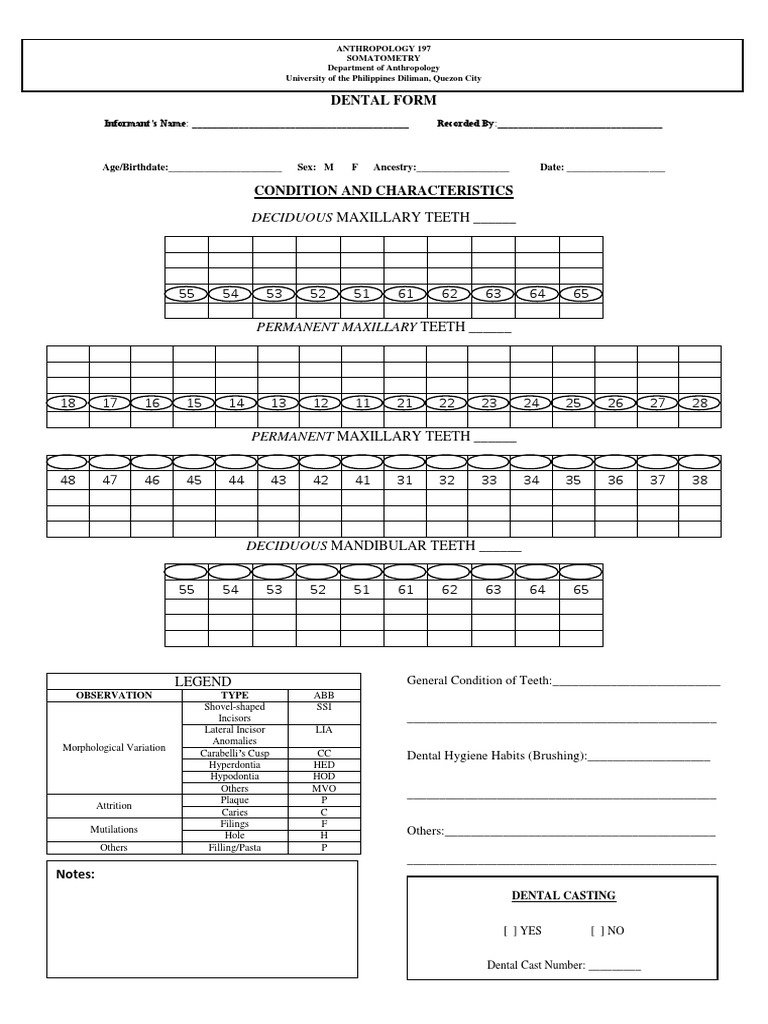 Dental Form: Deciduous Maxillary Teeth | PDF | Human Tooth | Facial ...