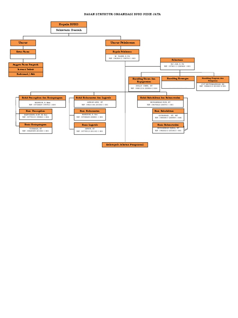Bagan Struktur BPBD 2017 | PDF