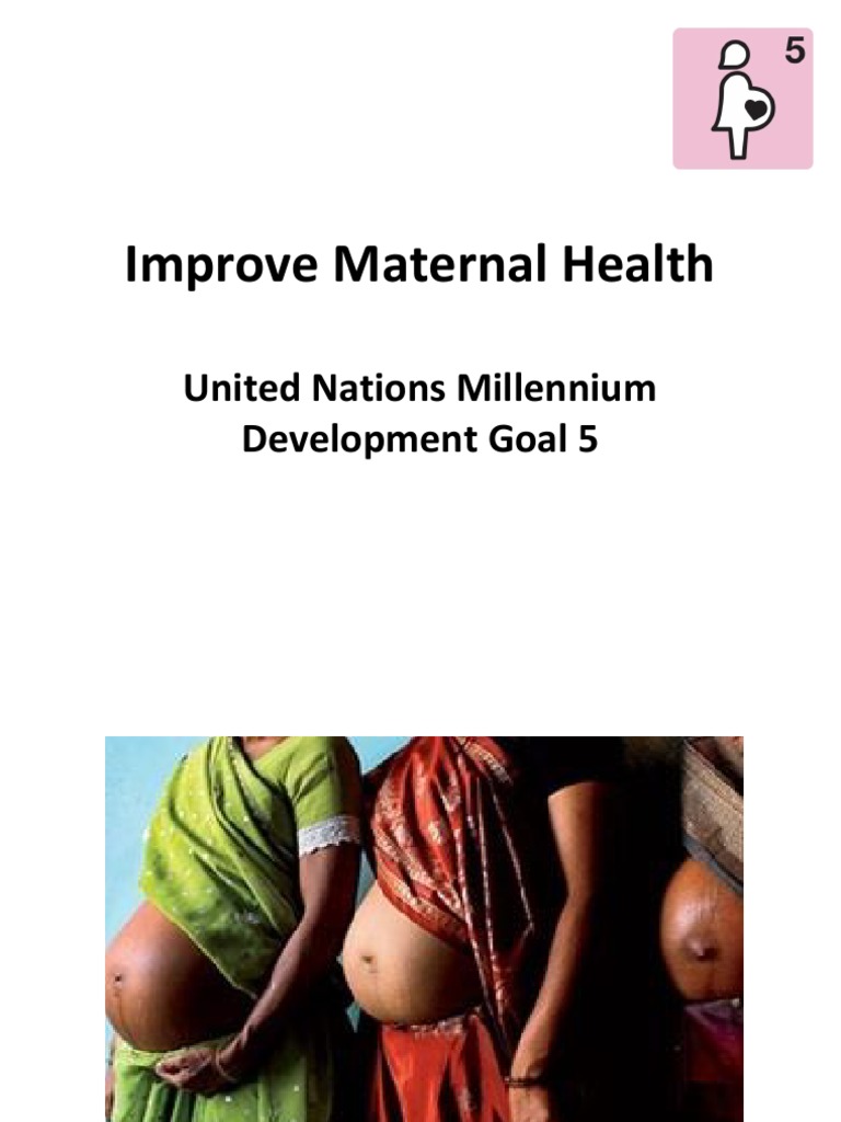 Improve Maternal Health: United Nations Millennium Development Goal 5 ...