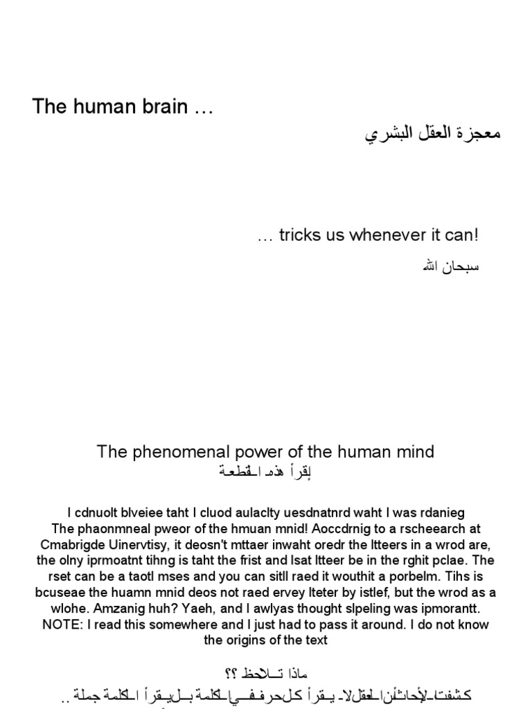 Human Brain Test | PDF
