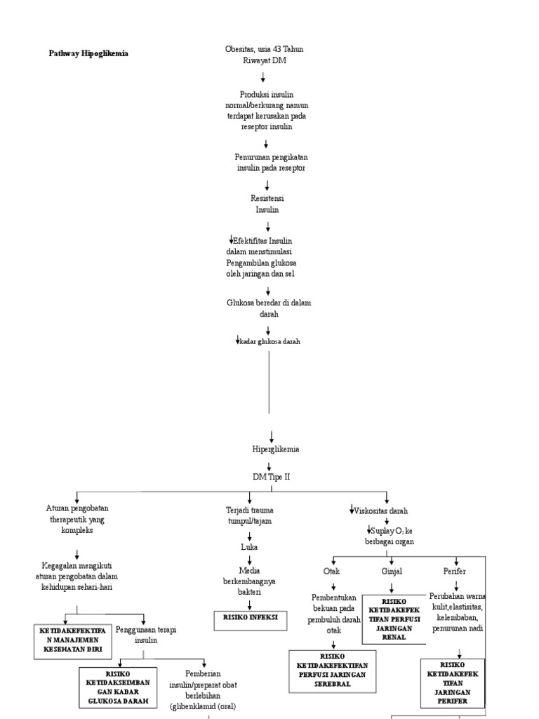 Pathway Hipoglikemia | PDF